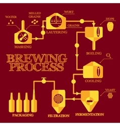 Beer infographic or brewery line factory process Vector Image