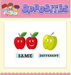 Opposite adjectives with same and different Vector Image