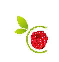 Raspberry still life Royalty Free Vector Image