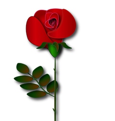 Two red roses Royalty Free Vector Image - VectorStock