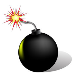 Black bomb Royalty Free Vector Image - VectorStock
