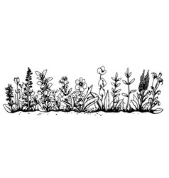 Wild flower field border hand drawn sketch Vector Image