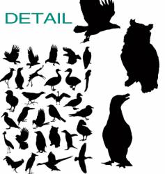 Seagull silhouettes Royalty Free Vector Image - VectorStock