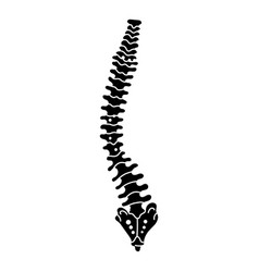 Spine icon skeletal orthopedic and spinal Vector Image