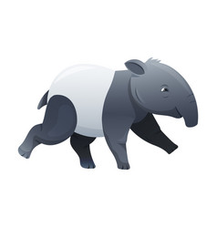 Cute malayan tapir standing as asian animal Vector Image