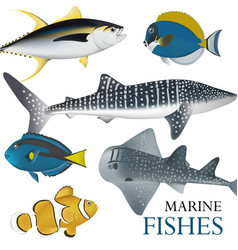 Marine fish background Royalty Free Vector Image