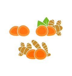 Turmeric colored botanical Royalty Free Vector Image