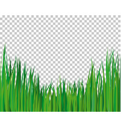 Super realistic grass Royalty Free Vector Image