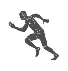 Track lanes Royalty Free Vector Image - VectorStock