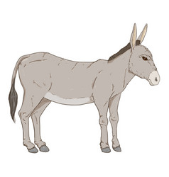 Cartoon calf side view Royalty Free Vector Image