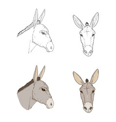 Cartoon calf side view Royalty Free Vector Image