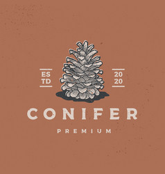 Conifer logo icon Royalty Free Vector Image - VectorStock