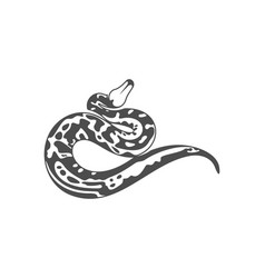 Snake Royalty Free Vector Image - VectorStock