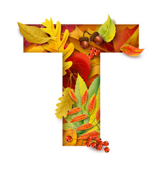 Autumn stylized alphabet letter f Royalty Free Vector Image