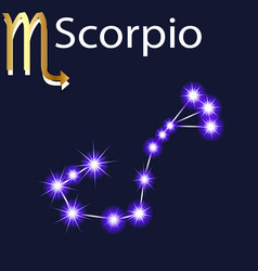 Icons with scorpio zodiac sign and constellation Vector Image