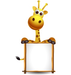 Two giraffes and blank whiteboard Royalty Free Vector Image