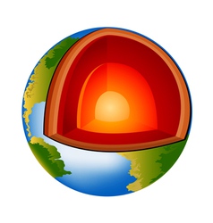 Internal structure of root diagram Royalty Free Vector Image