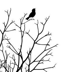 Singing birds on tree Royalty Free Vector Image