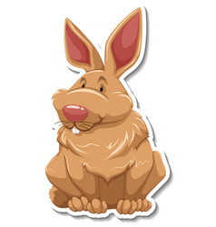 Rabbit cartoon character on white background Vector Image