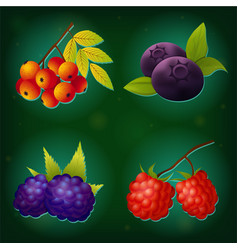 Set of berry icons on wooden square Royalty Free Vector