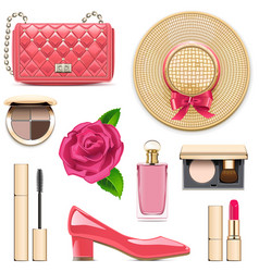 Girl with hair accessories Royalty Free Vector Image