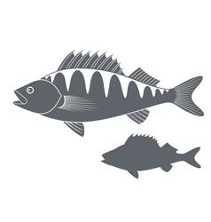 Perch Royalty Free Vector Image - VectorStock